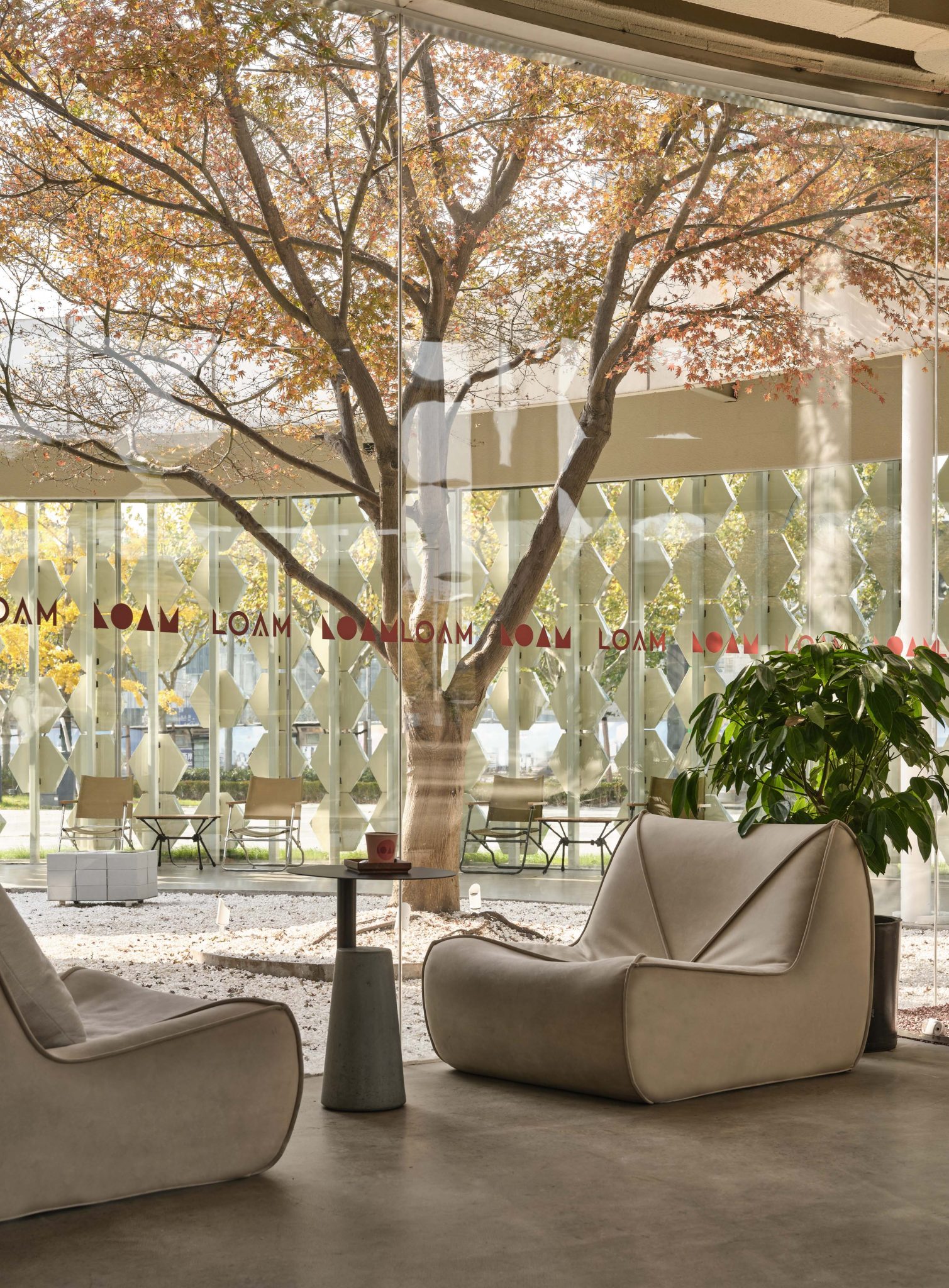 八荒建筑设计 | 树下的LOAM瓷屋咖啡 | Hi设计